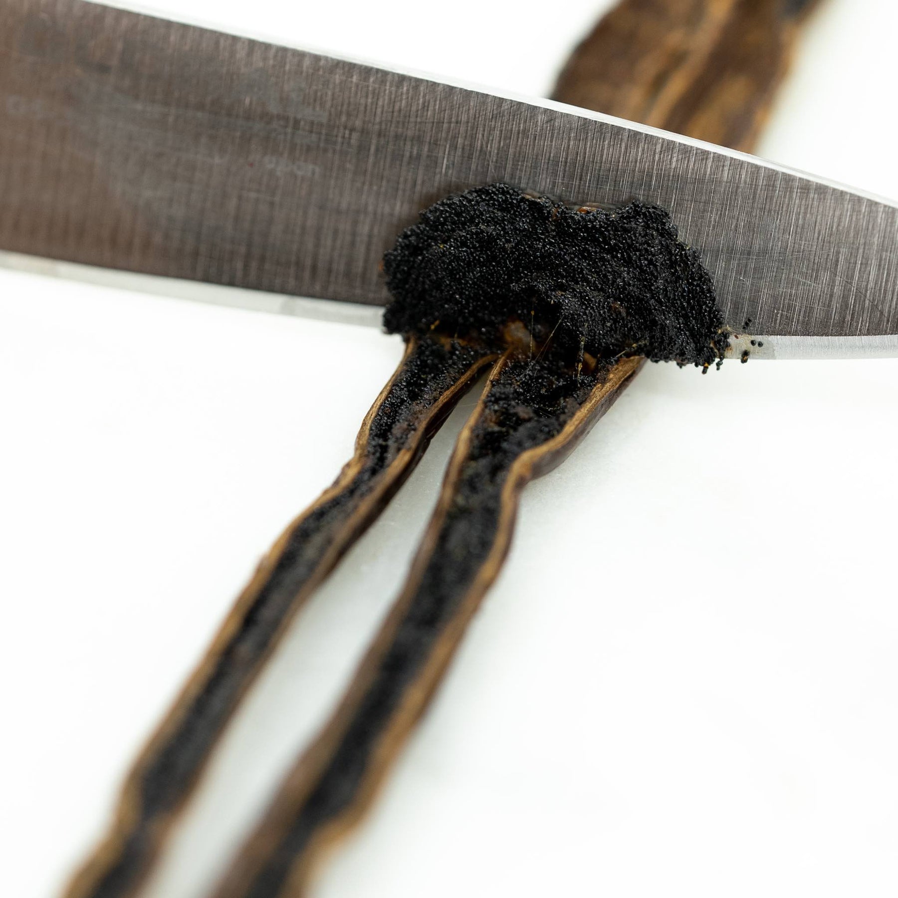 Vaniljstång PREMIUM, 5 st, Bourbon 17 - 18 cm, Madagaskar – Matgeek